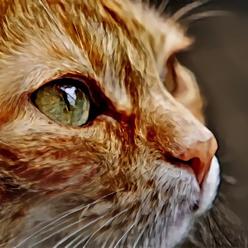 Stream Peter Mosher music | Listen to songs, albums, playlists for free ...