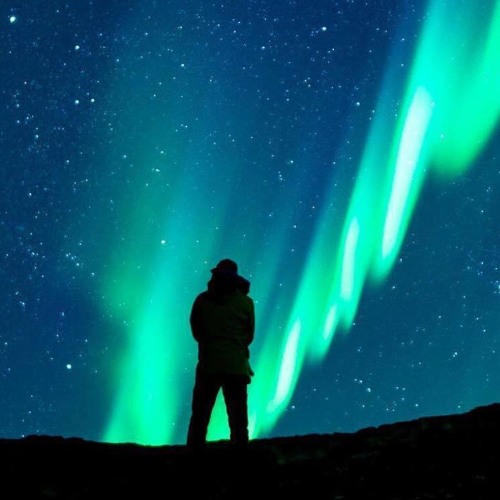 Stream Emad Gohari music | Listen to songs, albums, playlists for free ...