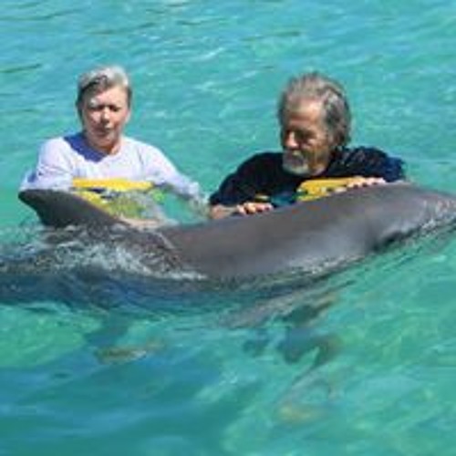 Stream Ted music | Listen to songs, albums, playlists for free on ...