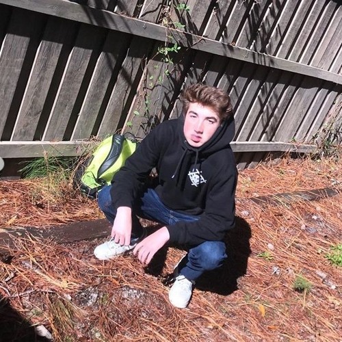 Stream Lil Shark music | Listen to songs, albums, playlists for free on ...