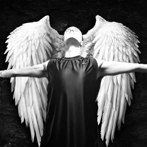 Stream Porticulus music | Listen to songs, albums, playlists for free ...