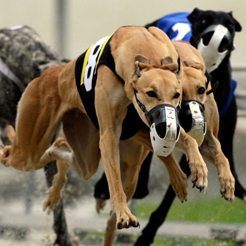 Stream Rory Burke Racing | Listen to podcast episodes online for free ...