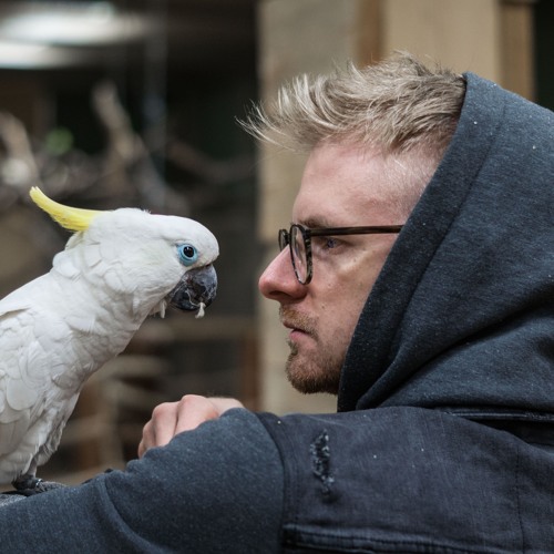 Stream Pan Krok music | Listen to songs, albums, playlists for free on ...