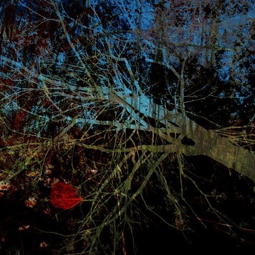 Stream Alex Molnar music | Listen to songs, albums, playlists for free ...