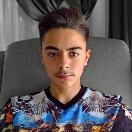 Stream Bîrsan Edi music | Listen to songs, albums, playlists for free ...