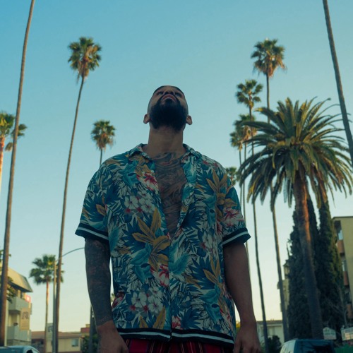 Stream Robin Hoodd (el tiguere ) music | Listen to songs, albums ...