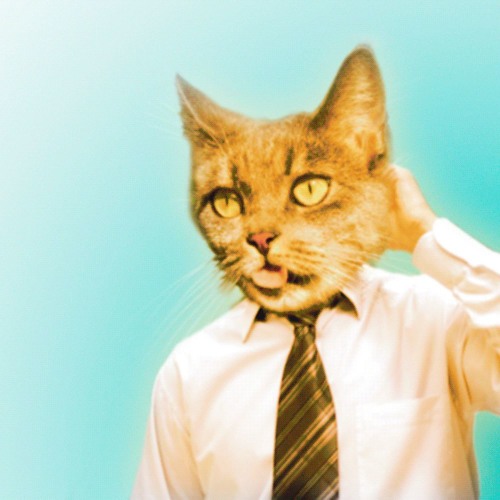 Stream Jack Kohn music | Listen to songs, albums, playlists for free on ...