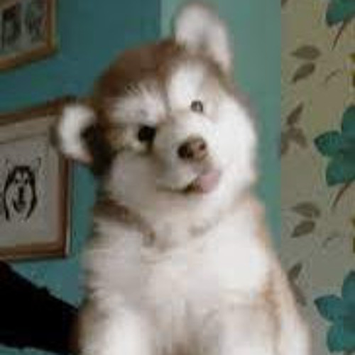 Stream G2G Girls2Game music | Listen to songs, albums, playlists for ...