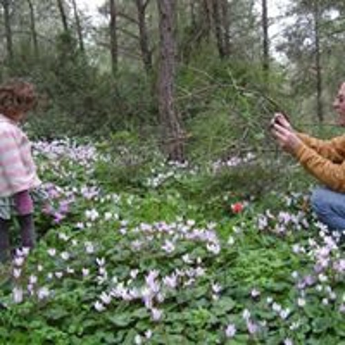 Stream 01 Swan Song by John Eisner | Listen online for free on SoundCloud