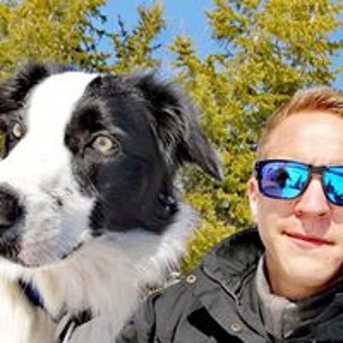 Stream Påsan music | Listen to songs, albums, playlists for free on ...