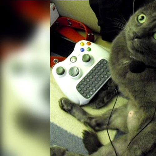 Daithi De Nogla Controller