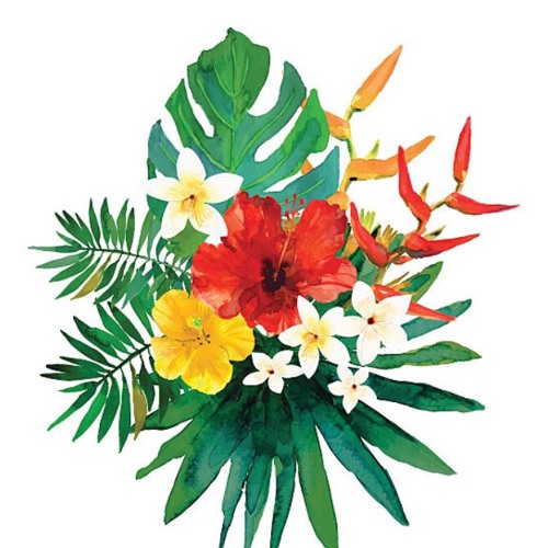 Stream Everla$ting Plant$ music | Listen to songs, albums, playlists ...