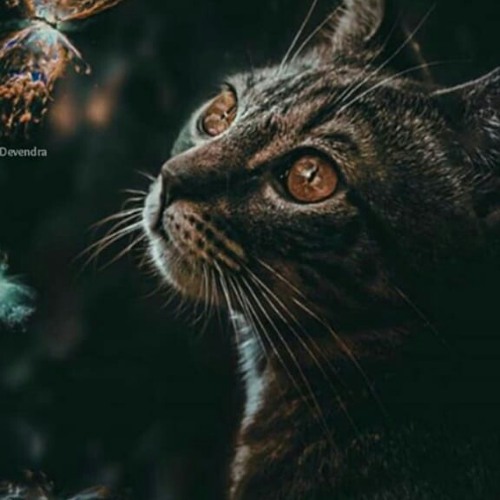 Stream teny music | Listen to songs, albums, playlists for free on ...