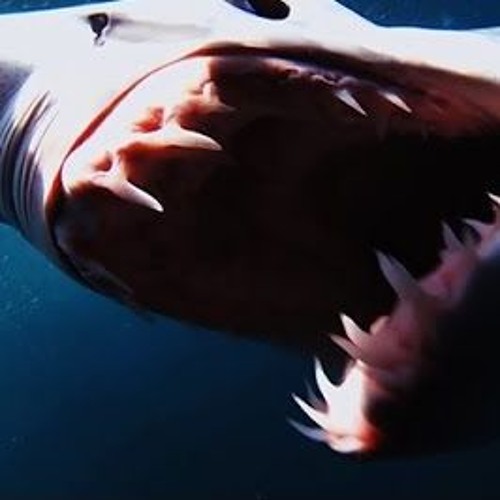 Stream Jjaw music | Listen to songs, albums, playlists for free on ...