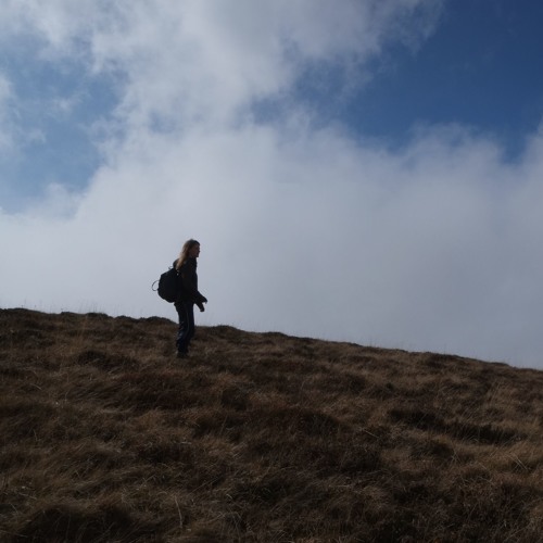 Stream Siri Brown music | Listen to songs, albums, playlists for free ...