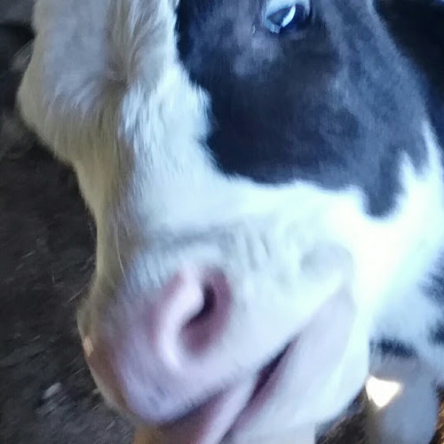 Stream James Hambrick Jr. music | Listen to songs, albums, playlists ...