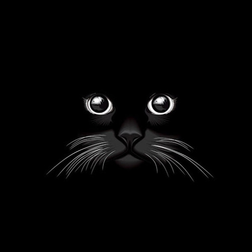 Stream Memes Skkr Music Listen To Songs Albums Playlists For Free