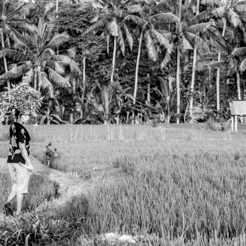 Stream Ryan Raj music | Listen to songs, albums, playlists for free on ...