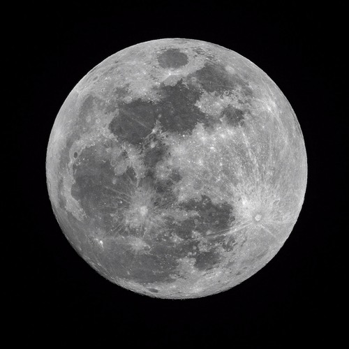 Stream moone music | Listen to songs, albums, playlists for free on ...