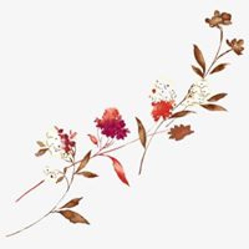 Listen to music albums featuring Enredados Flor Que Da Fulgor ...