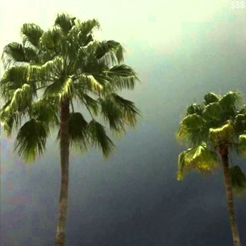 Stream XXNV music | Listen to songs, albums, playlists for free on ...