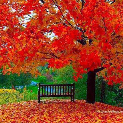 Stream David Snow music | Listen to songs, albums, playlists for free ...