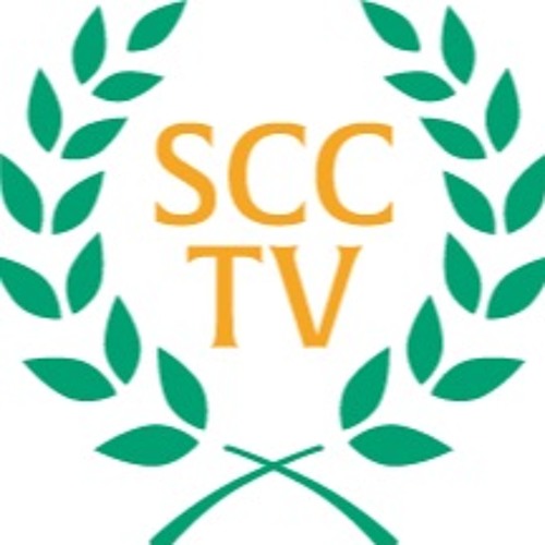 Stream Sanderstead CCTV's Silly Point | Listen to podcast episodes ...