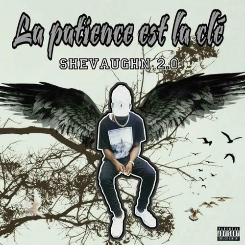 Stream Shevaughn 2.0 music | Listen to songs, albums, playlists for ...