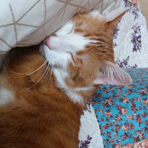 Stream Eleonora Nagy 1 music | Listen to songs, albums, playlists for ...