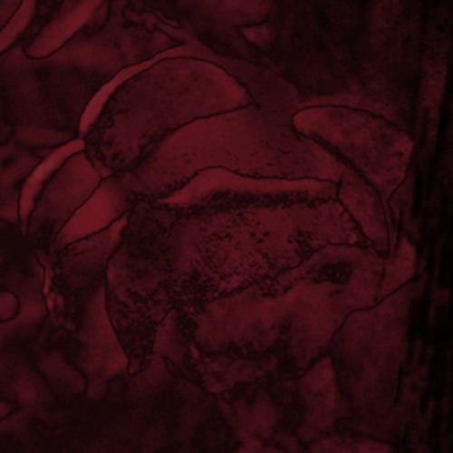 Stream 25 Dwr Demo By Drowning With Roses Listen Online For Free On