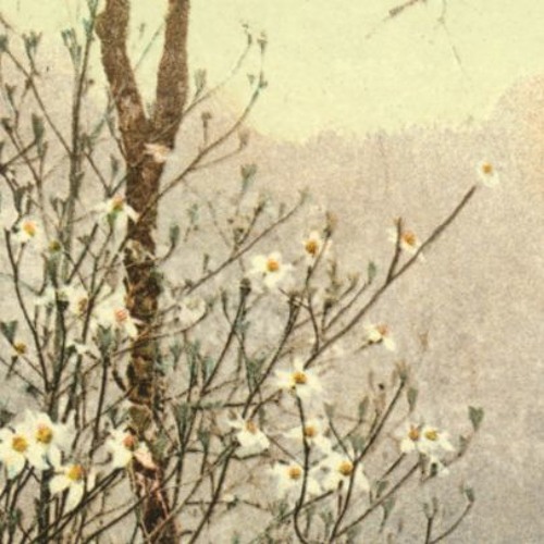 Stream Lilien Rosarian Music Listen To Songs Albums Playlists For Free On SoundCloud stream-lilien-rosarian-music-listen-to-songs-albums-playlists-for-free-on-soundcloud