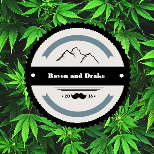 Stream Raven and Drake music | Listen to songs, albums, playlists for ...