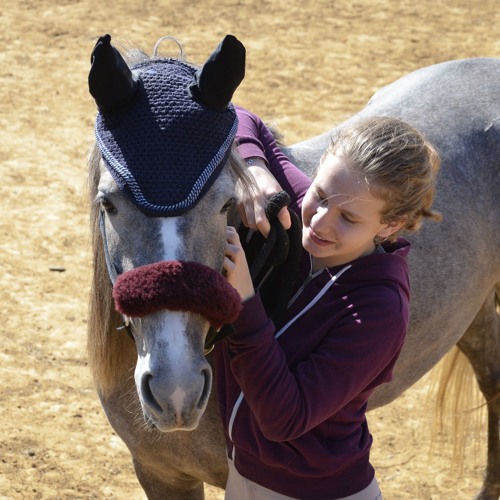 Stream Alice Longin music | Listen to songs, albums, playlists for free ...