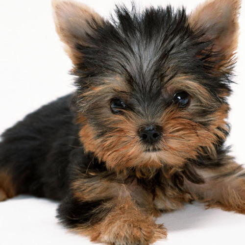 Stream xx.jordanxo music | Listen to songs, albums, playlists for free ...