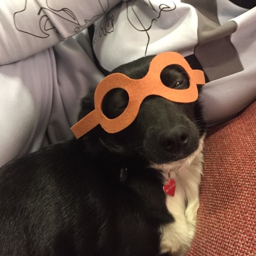 Stream Sanarei music | Listen to songs, albums, playlists for free on ...