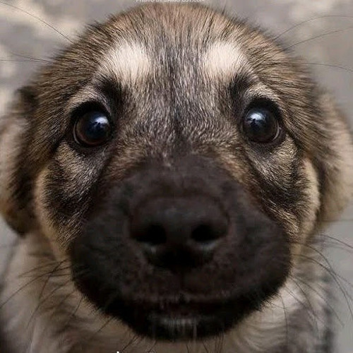 Stream YOCHI RACING music | Listen to songs, albums, playlists for free ...