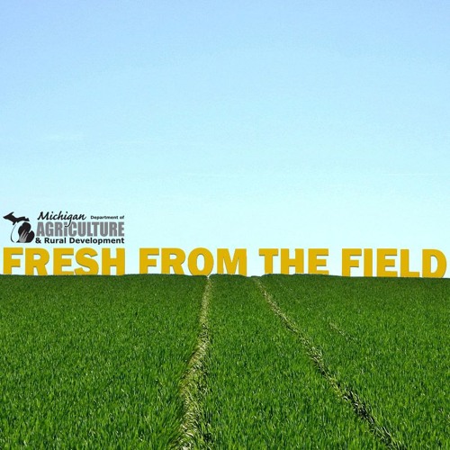 Stream Fresh From The Field music | Listen to songs, albums, playlists ...