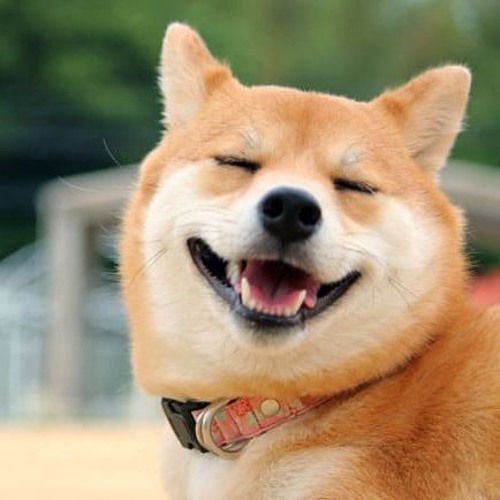 Stream Shi | Listen to MC Virgins playlist online for free on SoundCloud