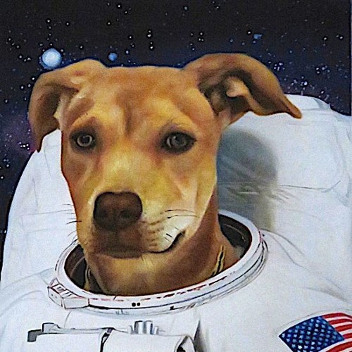 Stream Michael Lucio music | Listen to songs, albums, playlists for ...