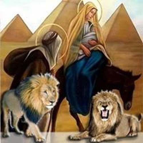 Stream Nader Mikhail music | Listen to songs, albums, playlists for ...