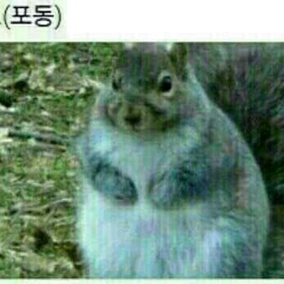 Stream 톰하디 틱톡 음악풀버전 Dan Farber Don t Touch_220807774.mp3 by 이승훈 ...