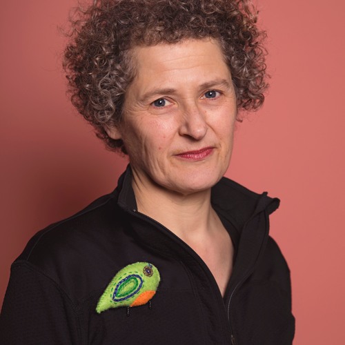 Stream Shotgun Marriage (Ban Duck Shooting) by Debbie Lustig | Listen ...