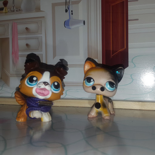 Stream LPS Pizza Cat music | Listen to songs, albums, playlists for ...