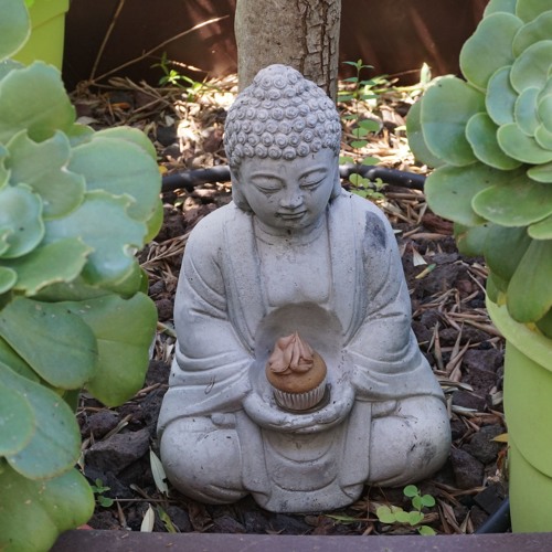 Stream Kayade youssoufa music | Listen to songs, albums, playlists for ...