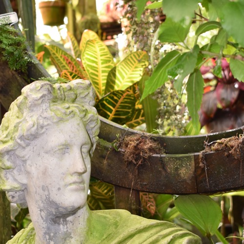 Stream Emily Gilpin music | Listen to songs, albums, playlists for free ...