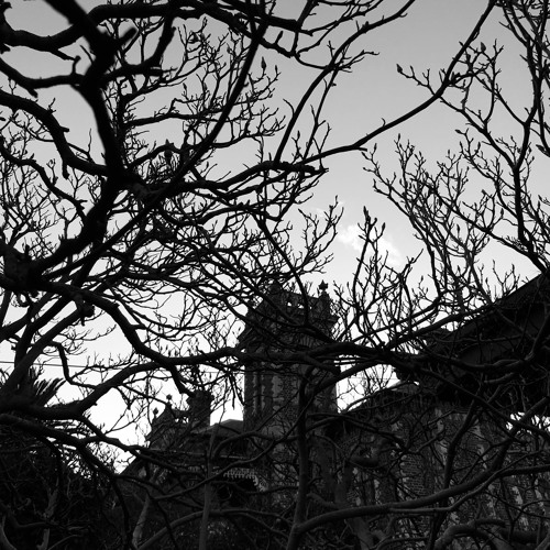 Stream Mick Meagher music | Listen to songs, albums, playlists for free ...