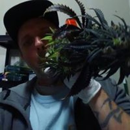 Stream Zubby Mix music | Listen to songs, albums, playlists for free on ...