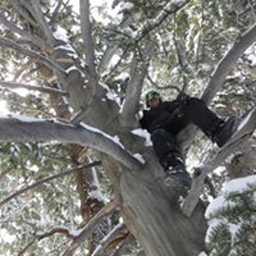 Stream Kevin Kohler music | Listen to songs, albums, playlists for free ...