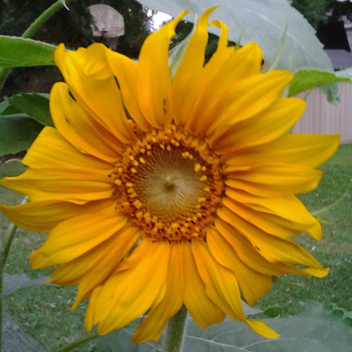 Stream Amber Garner Spurlock music | Listen to songs, albums, playlists ...