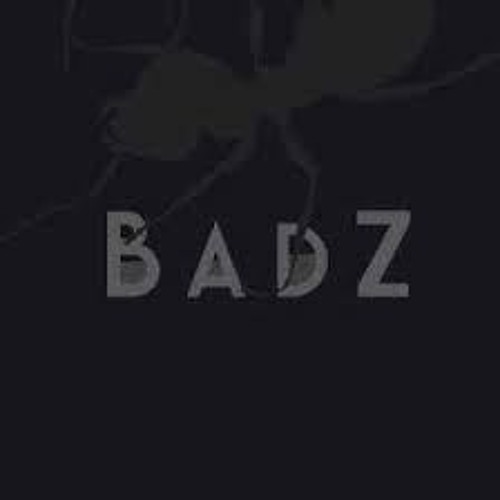 Stream Badz Leeds music | Listen to songs, albums, playlists for free ...